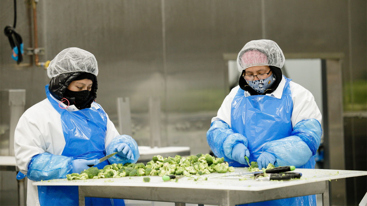 Behind the scenes: Fresh Midwest