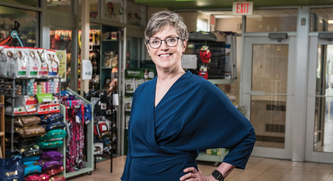 Milwaukee Film names Anne Reed as permanent CEO