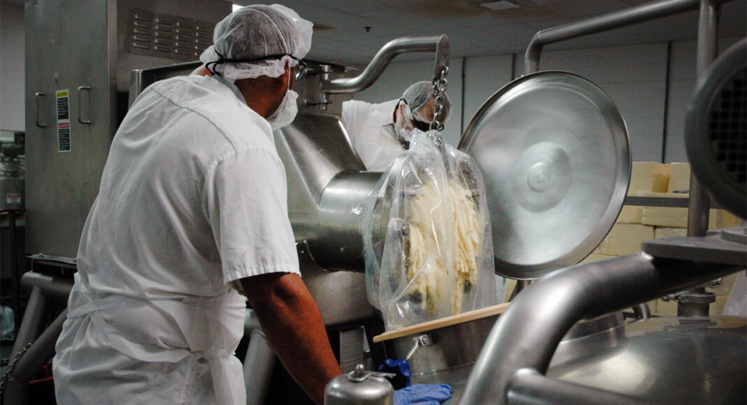 First Choice Ingredients finds the right fit with Royal DSM