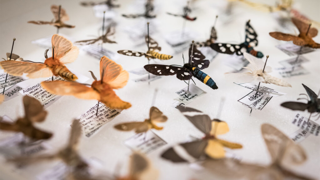 Behind the scenes: Milwaukee Public Museum