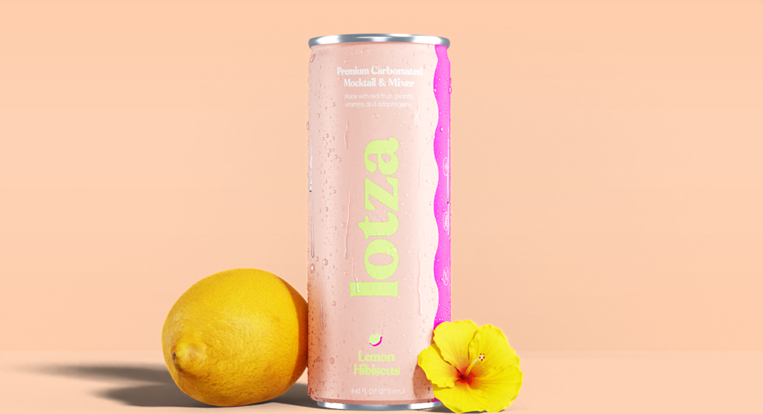 Menomonee Falls-based startup Lotza launches with series of healthy ...